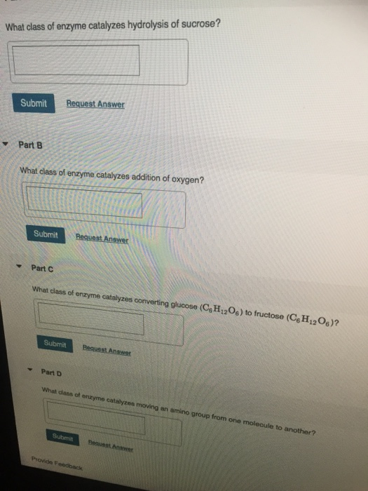 Solved What class of enzyme catalyzes hydrolysis of sucrose? | Chegg.com