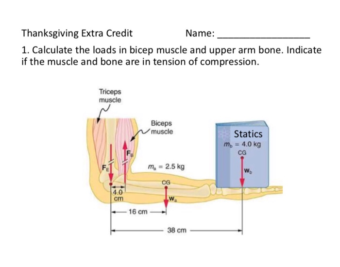 Solved Thanksgiving Extra Credit 1. Calculate the loads in | Chegg.com