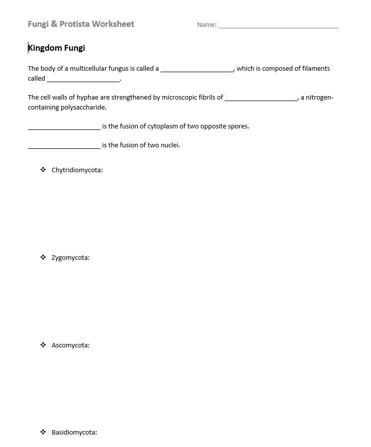 Solved Fungi \& Protista Worksheet Name: Kingdom Fungi The | Chegg.com
