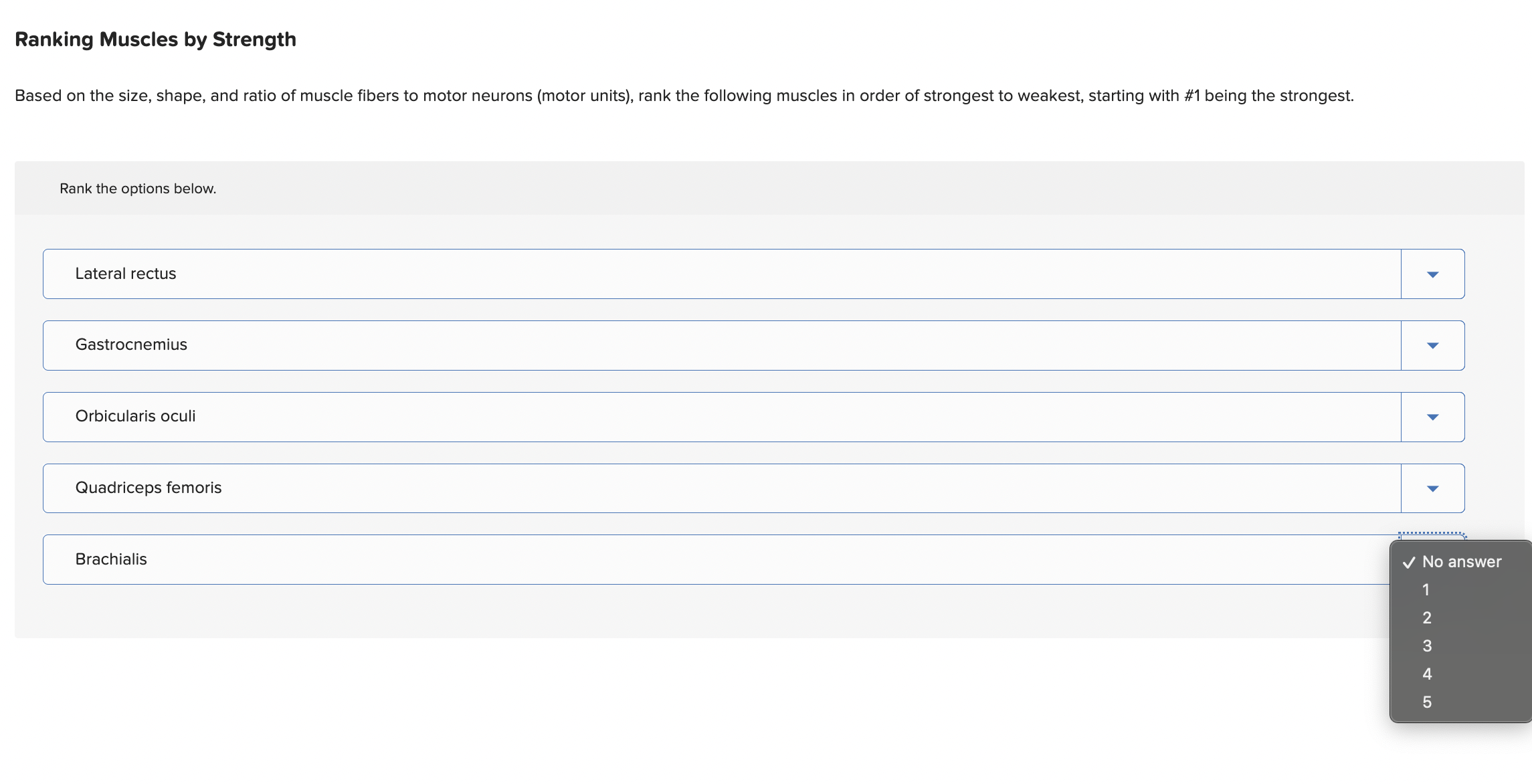 Solved Ranking Muscles by StrengthRank the options | Chegg.com