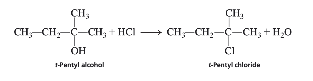 Can you please calculate the theoretical yield of | Chegg.com