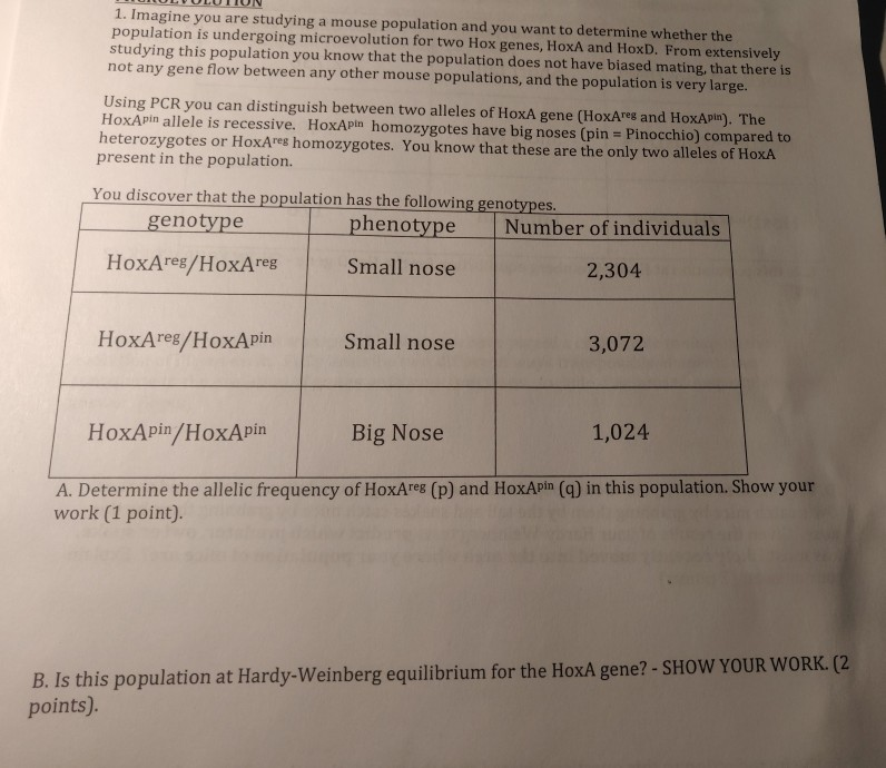 Solved 1. Imagine you are studying a mouse population and | Chegg.com