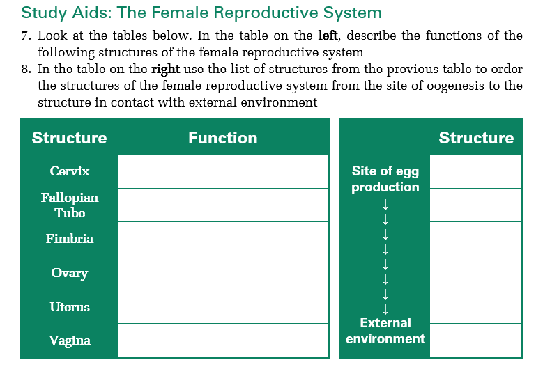 Solved Study Aids: The Female Reproductive System 7. Look at | Chegg.com