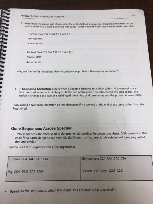 Investigation Dna Proteins And Mutations Answers - A Case Study Of The ...