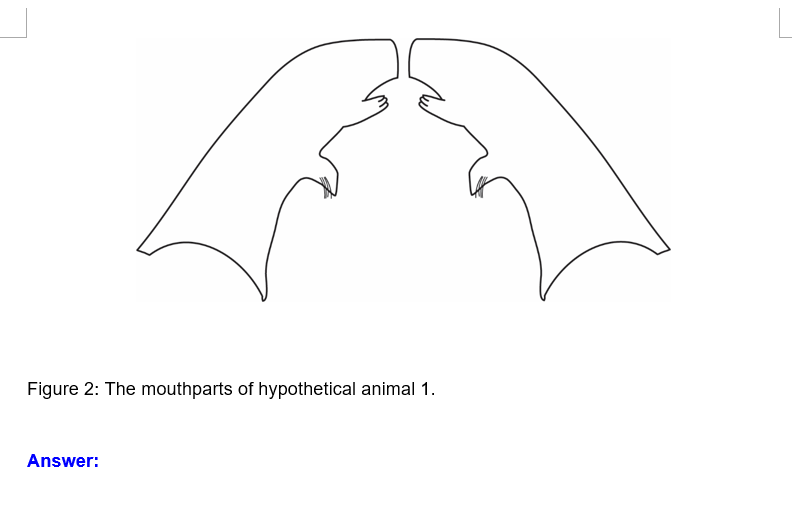 Solved Question 1 Below is an illustration of a hypothetical | Chegg.com