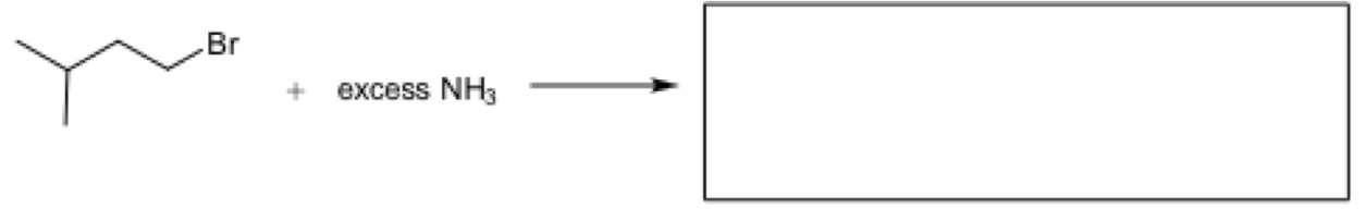 Solved + excess NH3 | Chegg.com
