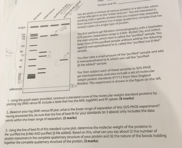 Solved Please show step by step soloutions for each part of | Chegg.com