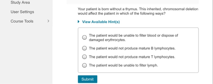 Solved Study Area User Settings Course Tools Which of the | Chegg.com