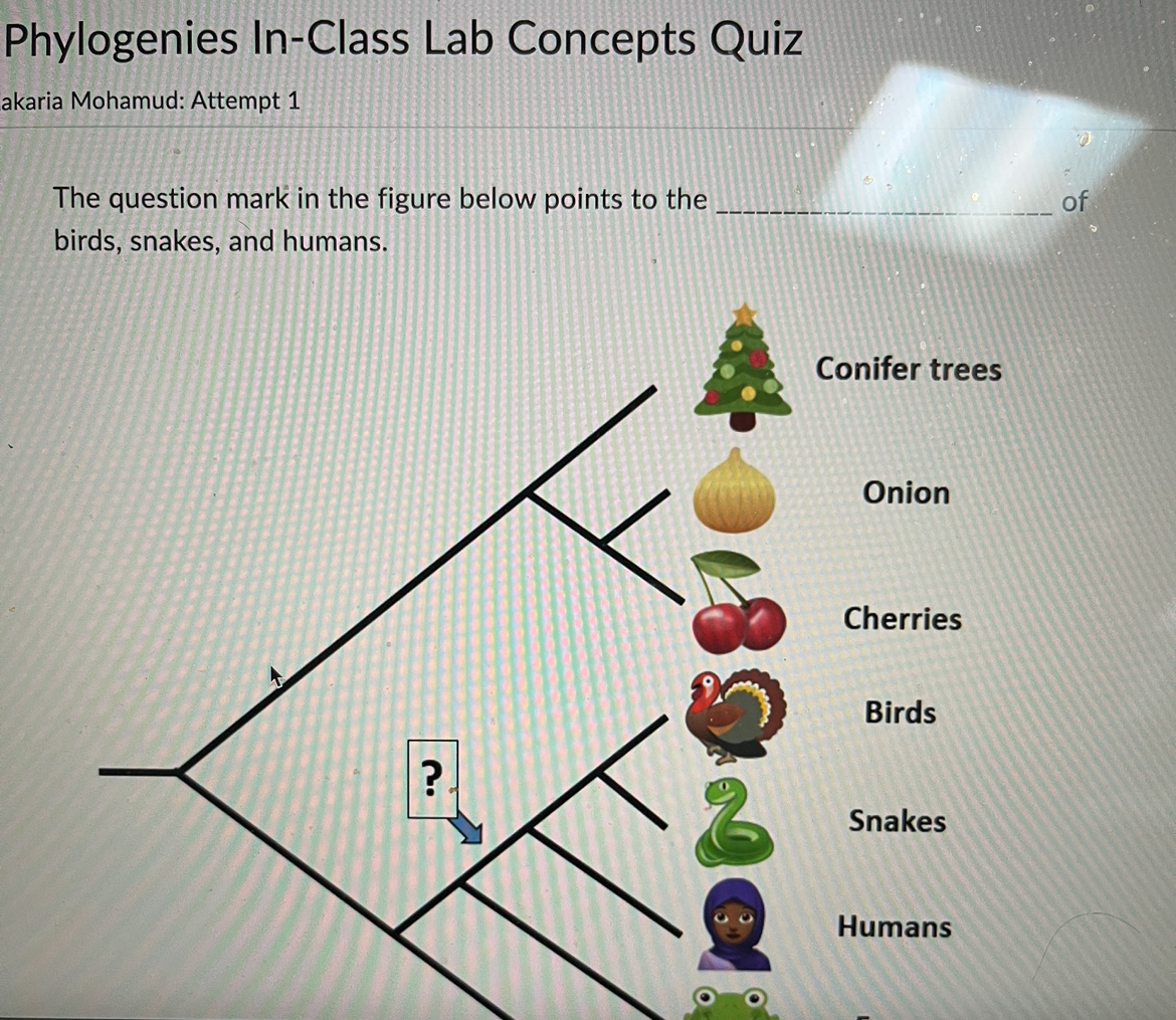 The question mark in the figure below points to the | Chegg.com