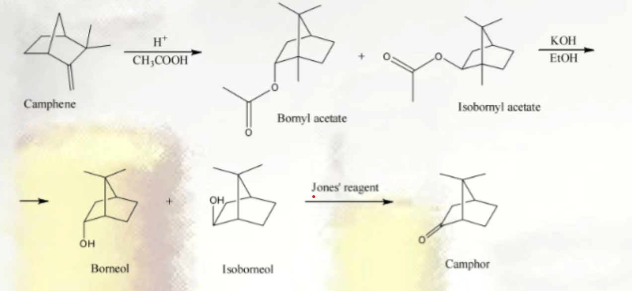 Can you please draw the reaction mechanism with steps | Chegg.com