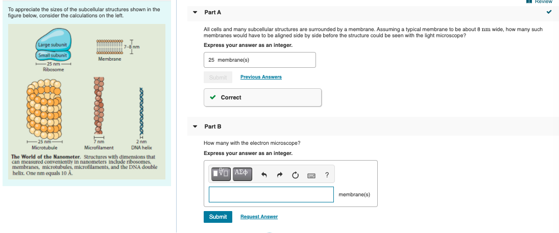 Solved 1 Review To appreciate the sizes of the subcellular | Chegg.com