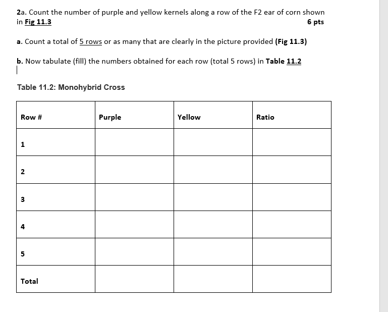 Solved Figure 11.3: Monohybrid cross2a. Count the number of | Chegg.com