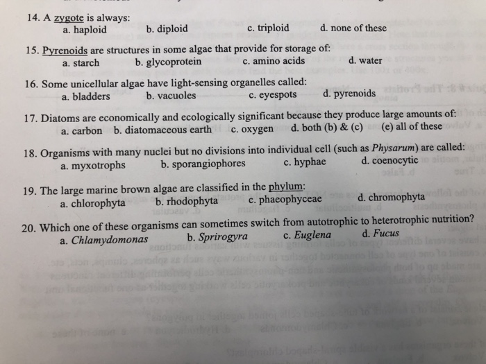 Solved 14. A zygote is always: 15. Pyrenoids are structures | Chegg.com