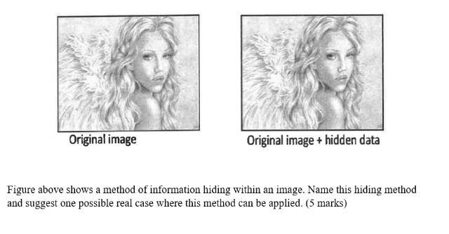 Solved Original image Original image + hidden data Figure | Chegg.com