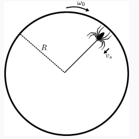 Solved A spider of mass m is at the edge of a level, | Chegg.com