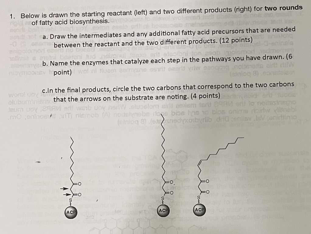 Solved 1. ﻿Below is drawn the starting reactant (left) ﻿and | Chegg.com