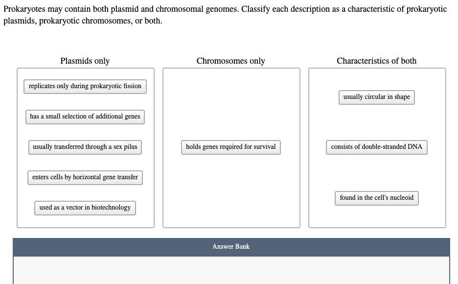 Solved Prokaryotes May Contain Both Plasmid And Chromosomal