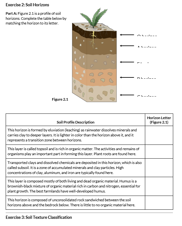 Solved Exercise 2: Soil Horizons Part A: Figure 2.1 is a | Chegg.com
