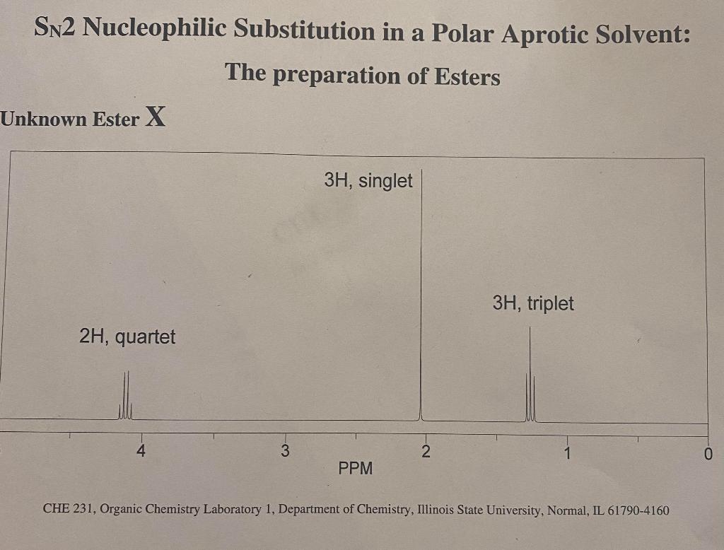 Solved SN2 Nucleophilic Substitution in a Polar Aprotic | Chegg.com