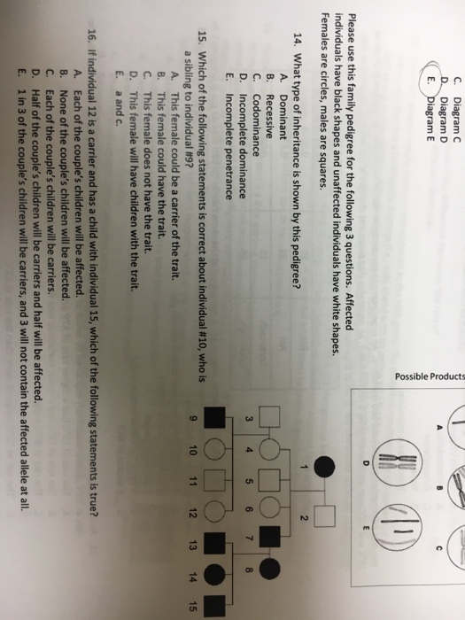 Solved Use the pedigree chart below to answer the following | Chegg.com