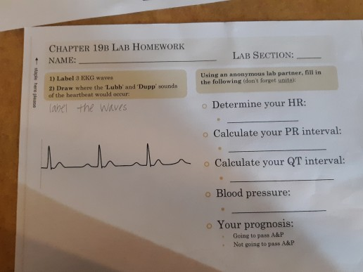 Solved СНАPТER 19в LAB HOMEWORK LAB SECTION: NAME: Using an | Chegg.com