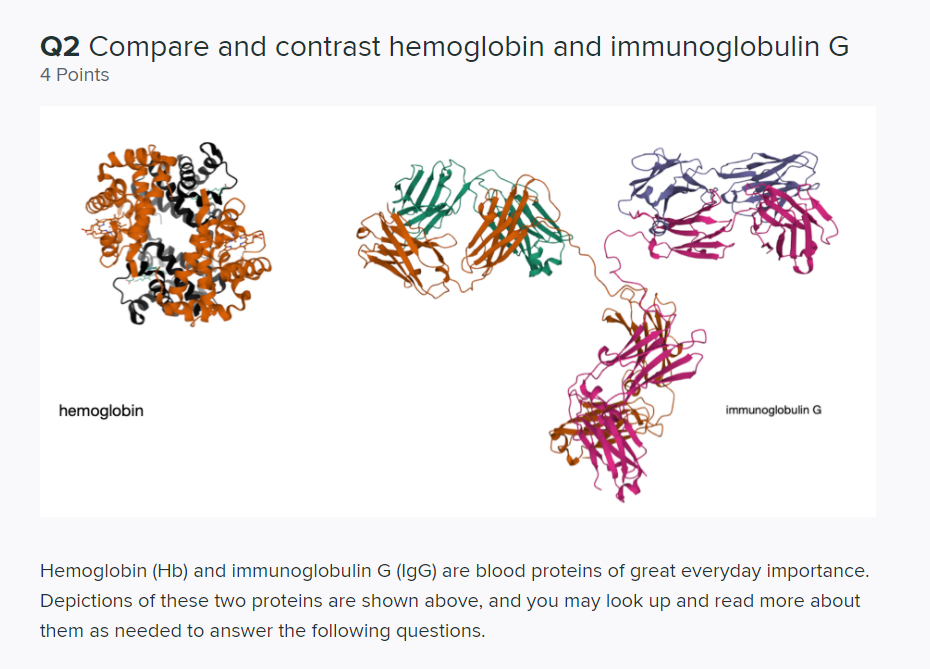 Solved Q2 Compare and contrast hemoglobin and immunoglobulin | Chegg.com