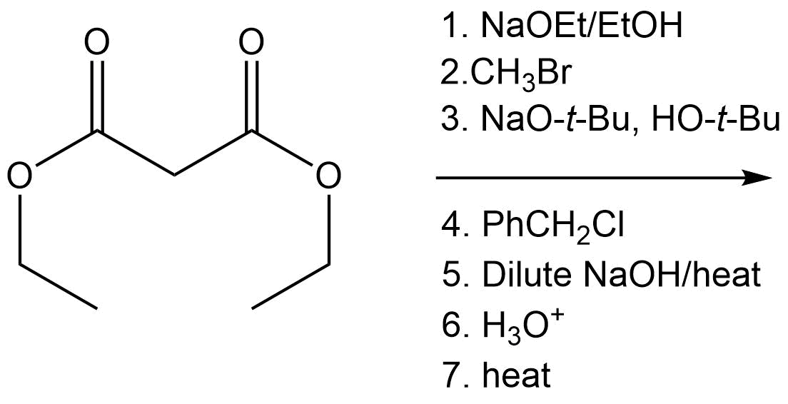 Solved O 1. NaOEt/EtOH 2.CH3Br 3. NaO-t-Bu, HO-t-Bu 4. | Chegg.com