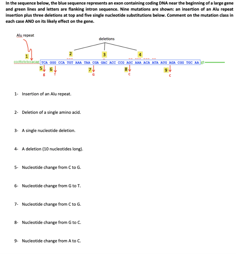 Solved In the sequence below, the blue sequence represents | Chegg.com