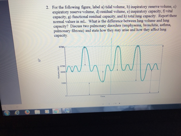 Solved For the following figure, label a) tidal volume, b) | Chegg.com