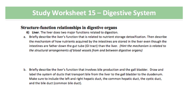 Solved Study Worksheet 15 – Digestive System | Chegg.com