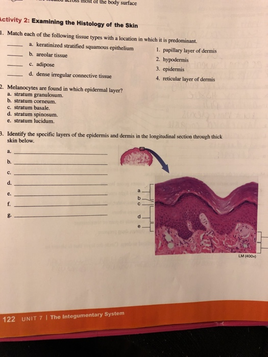 Solved ciuss most of the body surface ctivity 2: Examining | Chegg.com