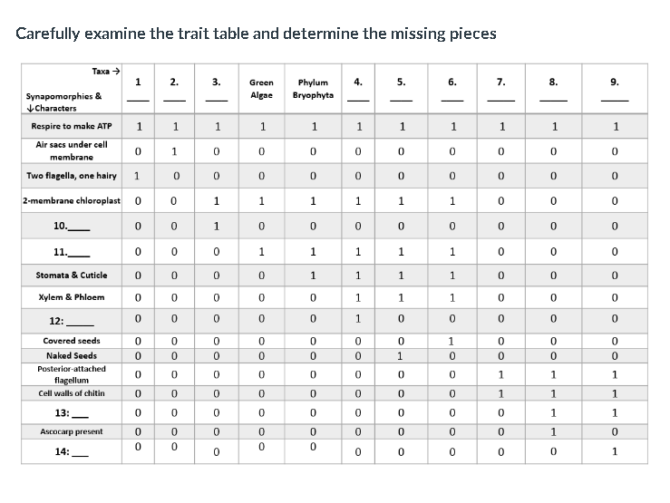 Solved Carefully examine the trait table and determine the | Chegg.com