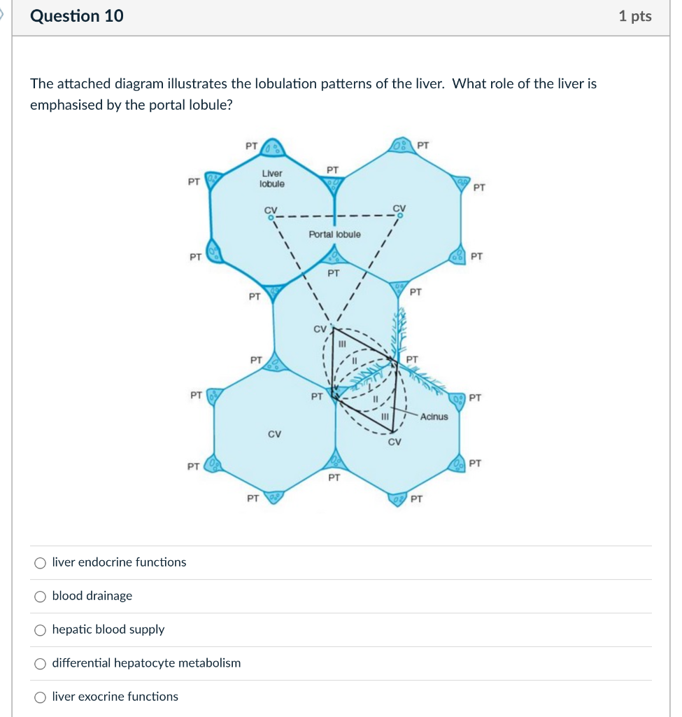 Solved Question 10 1 pts The attached diagram illustrates | Chegg.com