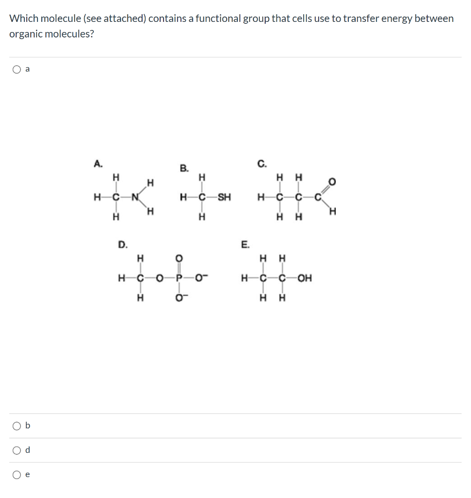 Solved Which molecule (see attached) contains a functional | Chegg.com