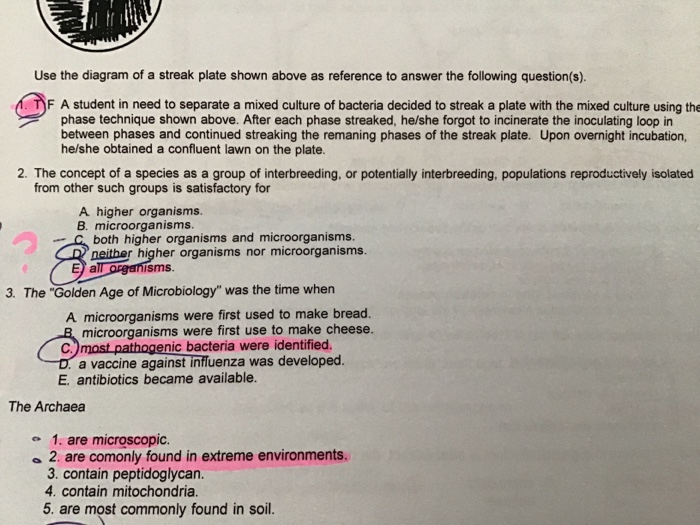 Solved Use the diagram of a streak plate shown above as | Chegg.com