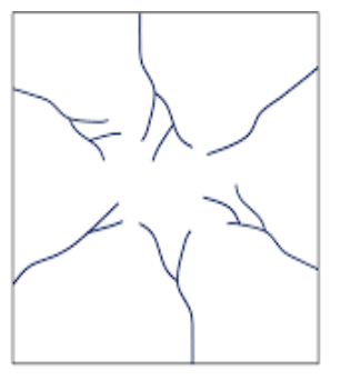 Solved What is the stream drainage pattern shown in the | Chegg.com