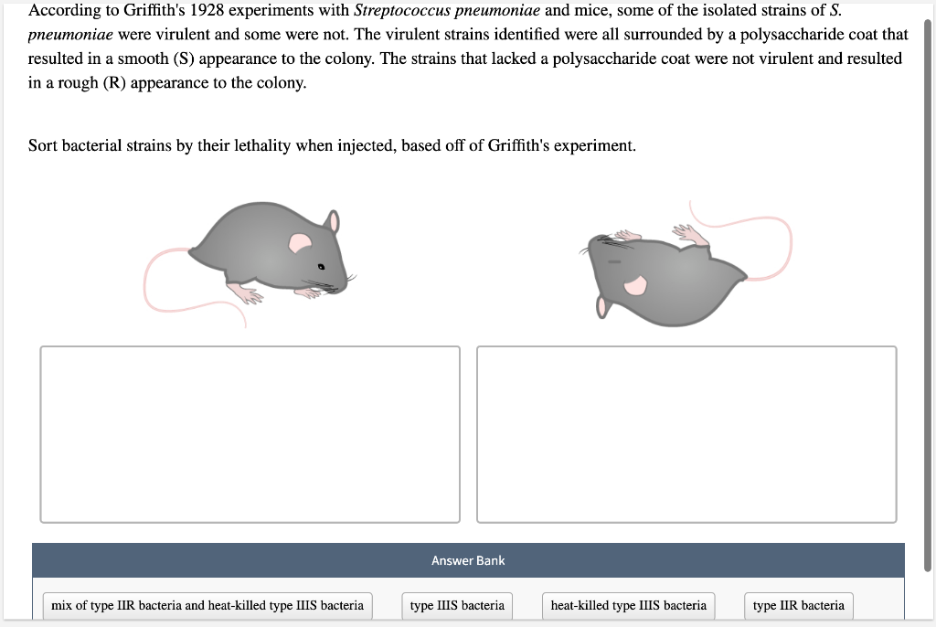 Solved According to Griffith's 1928 experiments with | Chegg.com