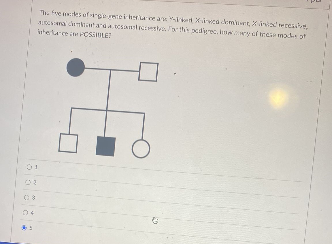 Solved The five modes of single-gene inheritance are: | Chegg.com