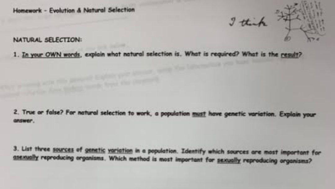 Solved Homework - Evolution & Natural Selection I think | Chegg.com
