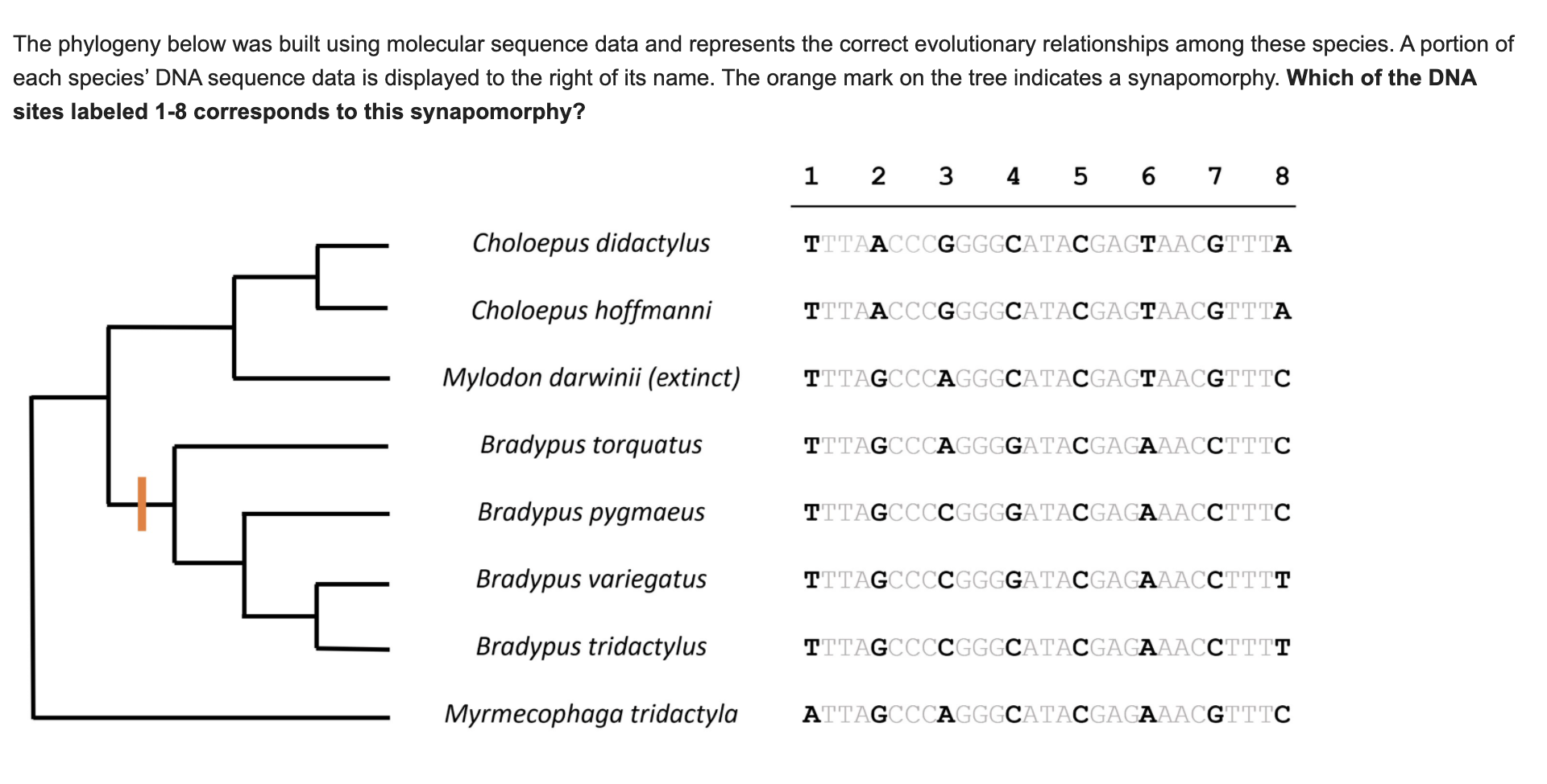 Solved The phylogeny below was built using molecular | Chegg.com