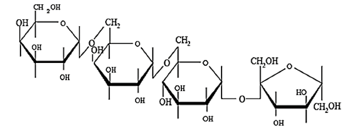 Solved You are told that stachyose can be named as: | Chegg.com