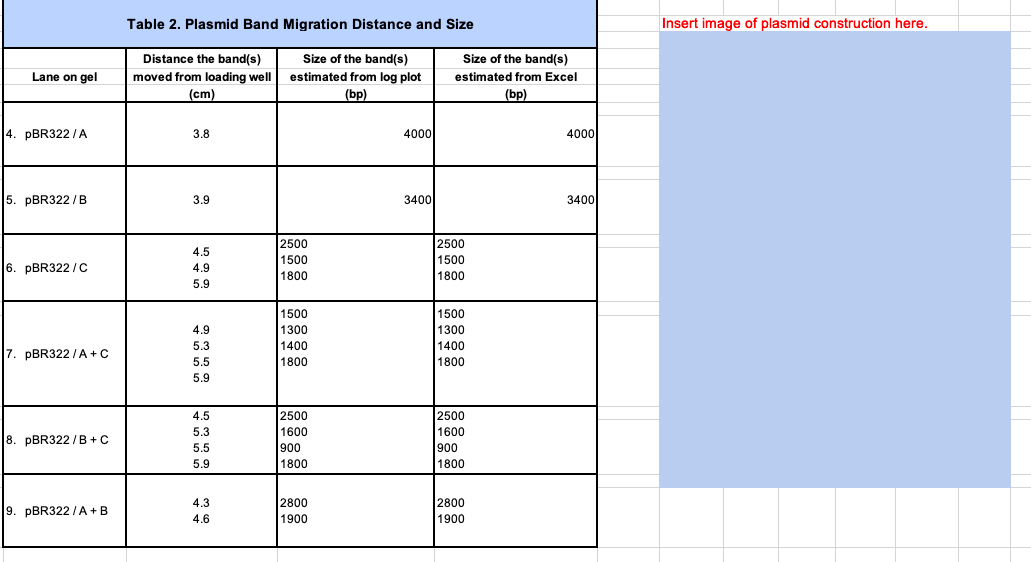 Table 2. Plasmid Band Migration Distance and Size | Chegg.com