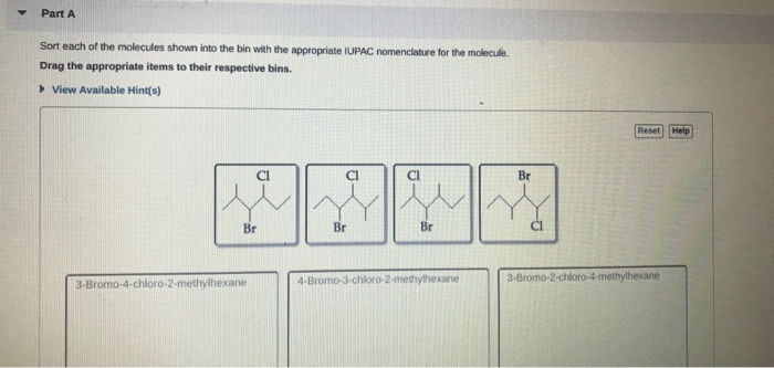 Solved Part A Sort each of the molecules shown into the bin | Chegg.com