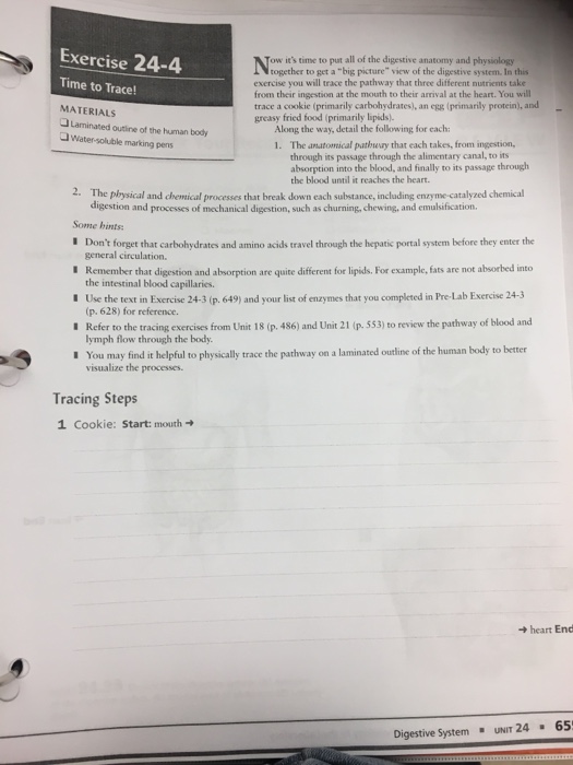 Solved Exercise 24-4 Time to Trace! MATERIALS Tow it's time | Chegg.com