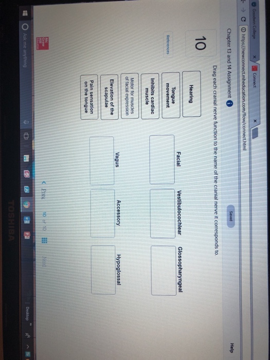 Solved Drag each cranial nerve function to the name of the | Chegg.com Solved Drag each cranial nerve function to the name of the | Chegg.com