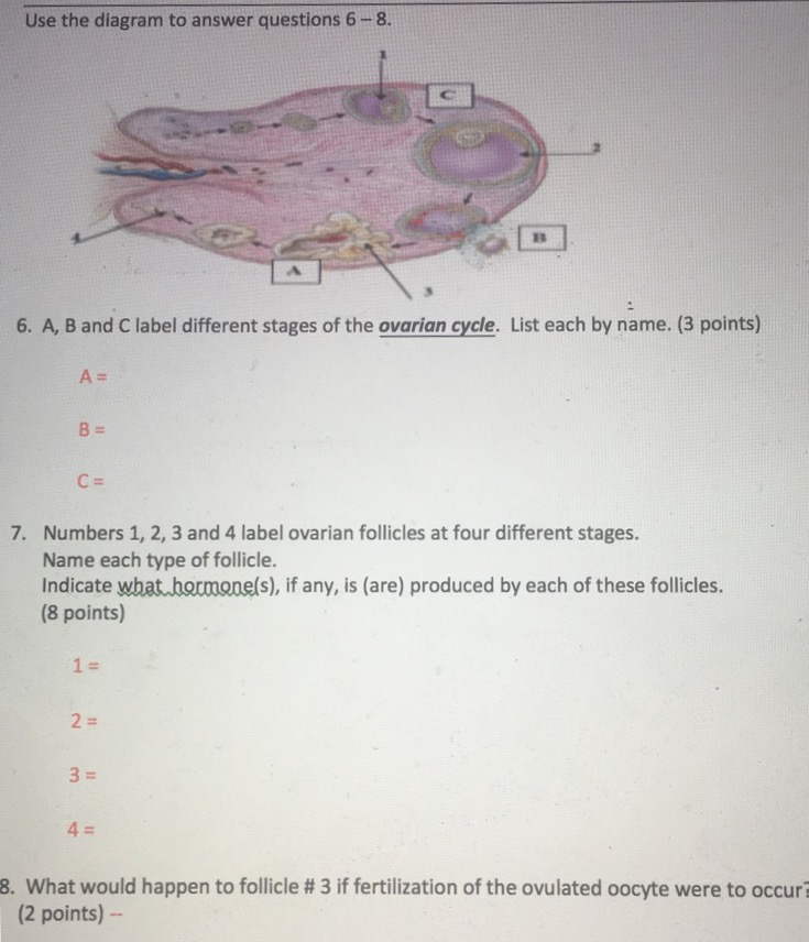Solved Use the diagram to answer questions 6-8 6. A, B and C | Chegg.com