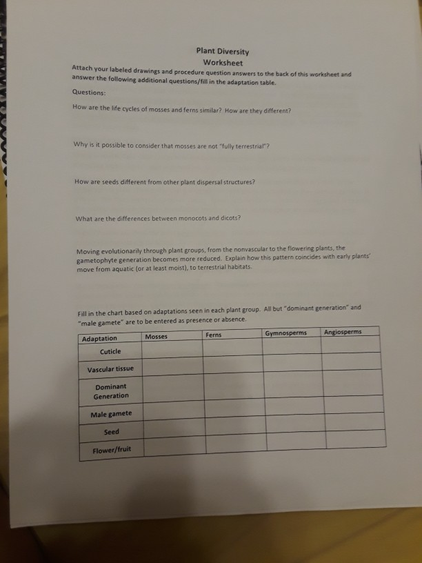 Solved Plant Diversity Worksheet Attach your labeled | Chegg.com