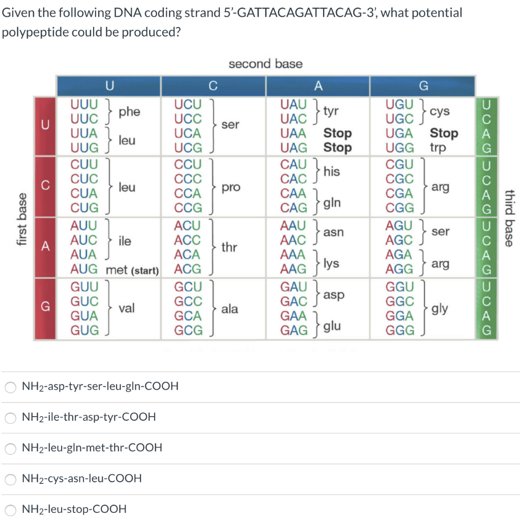 Solved Given the following DNA coding strand | Chegg.com
