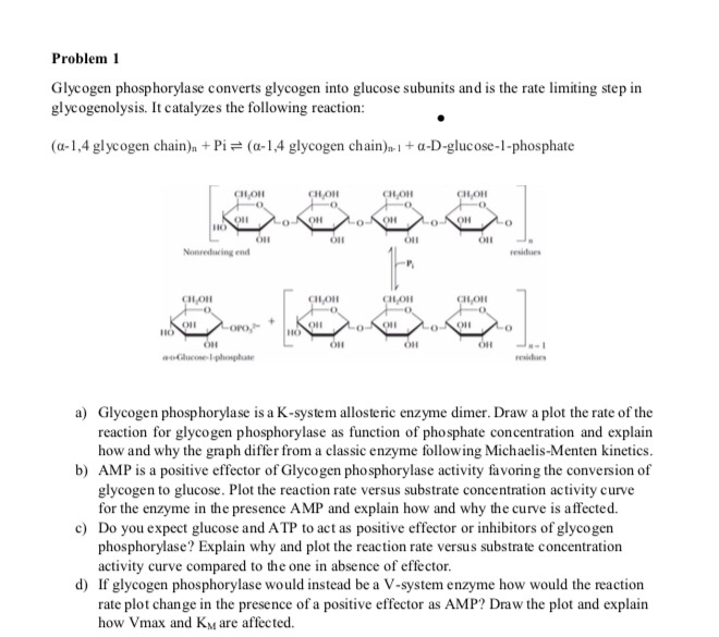 Solved Problem1 Glycogen phosphorylase converts glycogen | Chegg.com