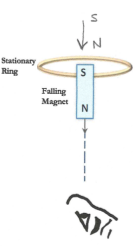 Solved A bar magnet is dropped from rest, starting above a | Chegg.com